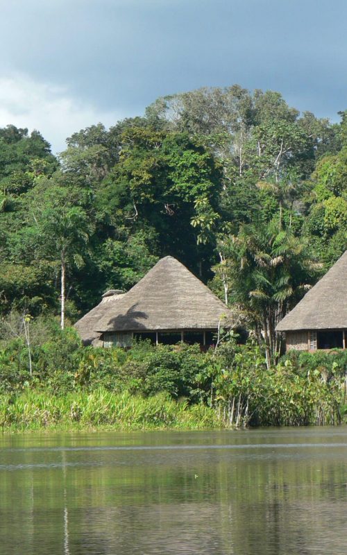 Amazon Lodge Tours Jungle Hotels Rainforest Ecuador